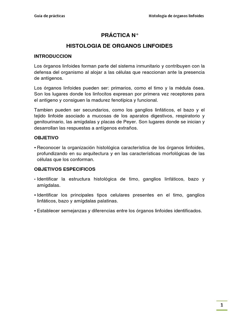 Histología De órganos Linfoides Guía Práctica Pdf Ganglio