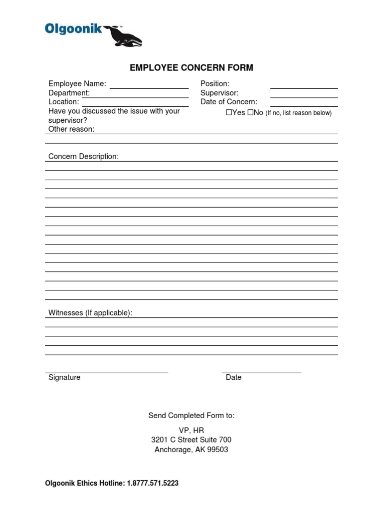 HR Employee Concern Form Sample | PDF