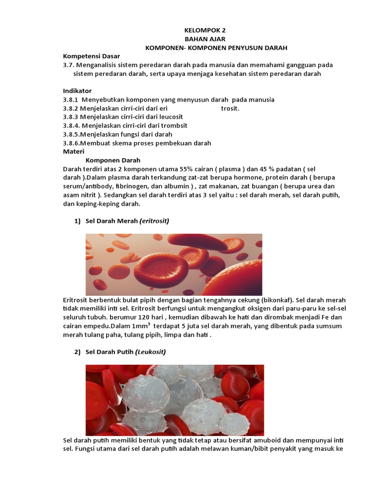 LKPD Komponen Darah | PDF
