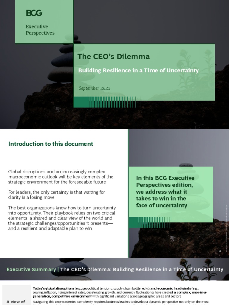 Bcg Executive Perspectives Ceos Dilemma Pdf Inflation Recession