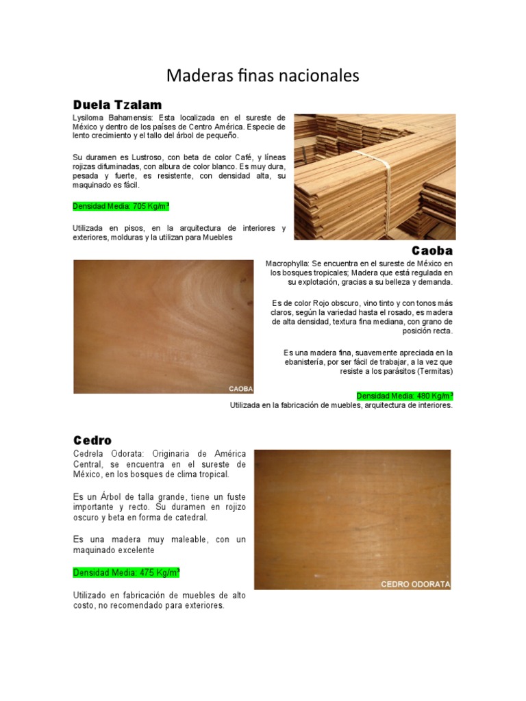 Tipos de Maderas Finas | PDF | Arboles | Plantas