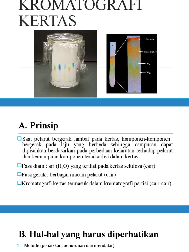 Kromatografi Kertas | PDF