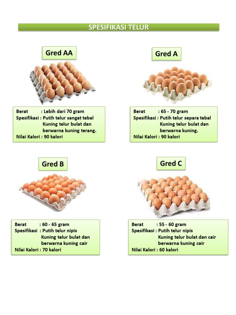 Spesifikasi Telur | PDF