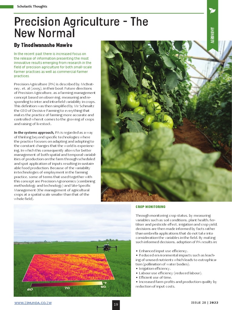 Precision Agric | PDF