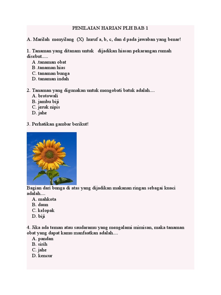 Soal PLH Tanaman Obat | PDF