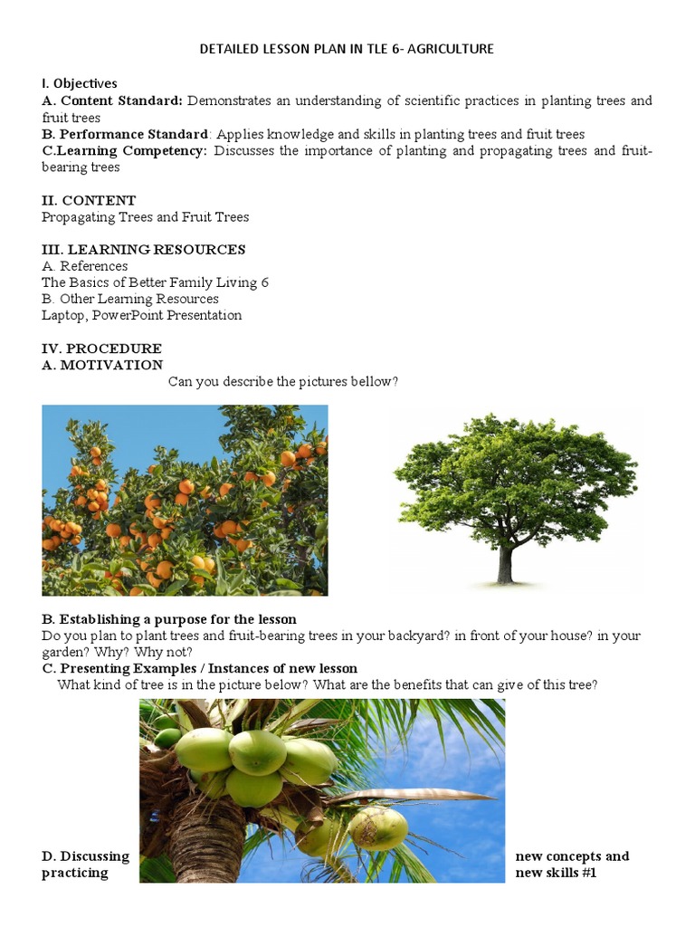 Grade 6 TLE: Planting & Propagating Trees | PDF | Trees | Plants