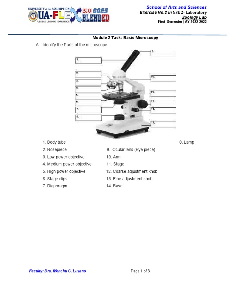 ZOO LAB Activity 2 Module 2. | PDF | Microscope | Glass Engineering And Science