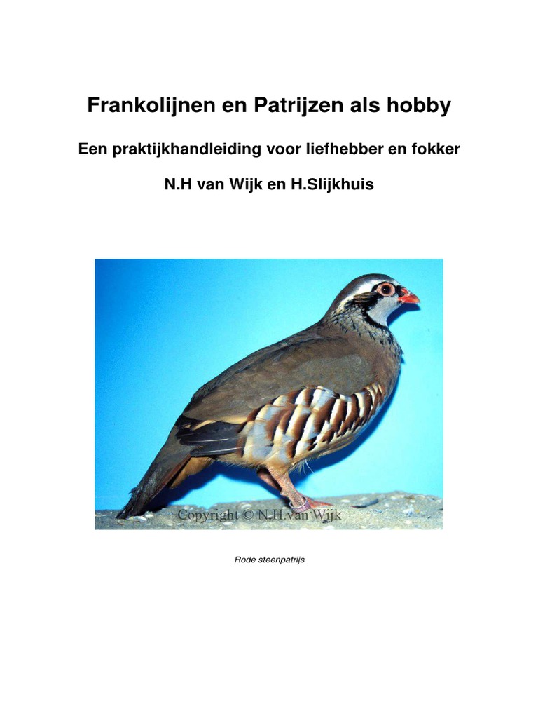 Frankolijnen en Patrijzen Als Hobby Een Praktijkh-Groen Kennisnet 14753 | PDF