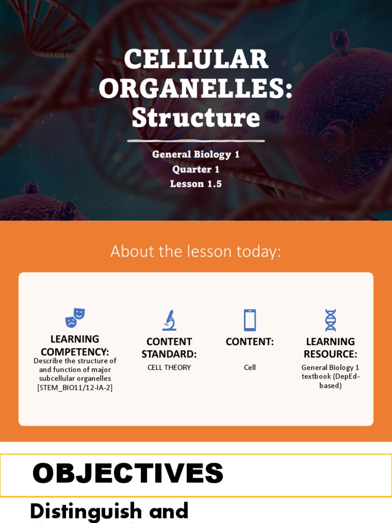 Bio1 - 1.5 Cellular Organelles' Structure | PDF