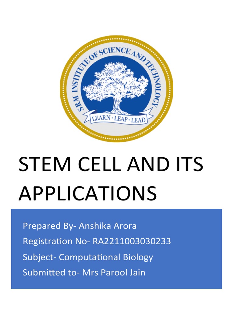 Sources of Stem Cells | PDF | Cell Potency | Stem Cell