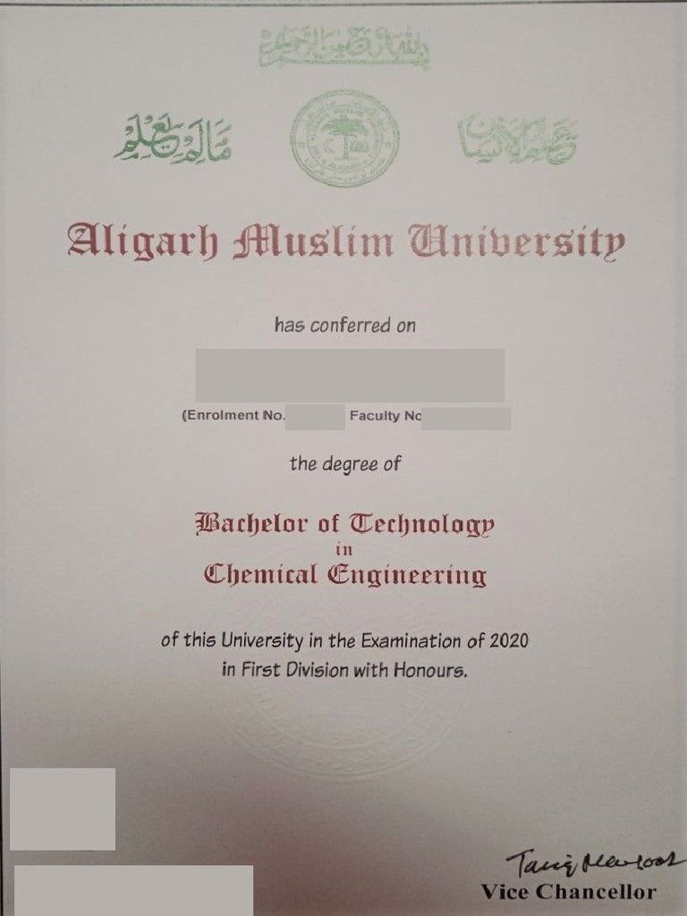 Aligarh Muslim University India Degree Sample | PDF