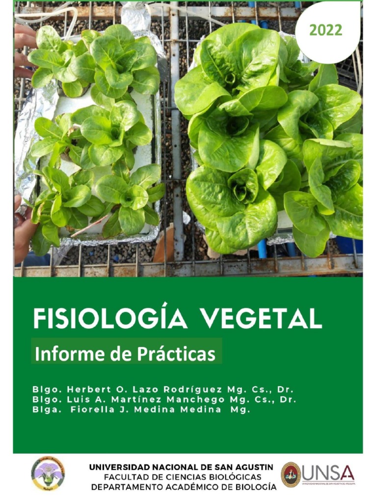 Informe de Practicas 2022 | PDF | Concentración | Hoja