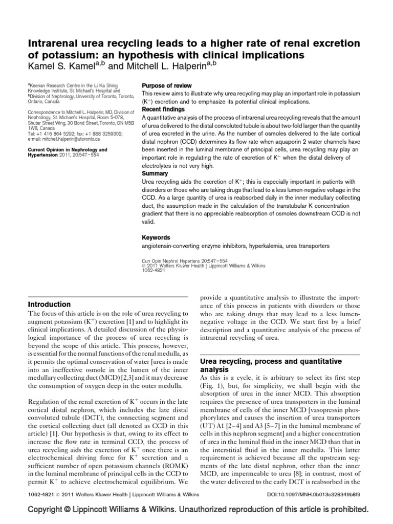 Intrarenal Urea Recycling Leads To A Higher Rate of Renal Excretion of ...