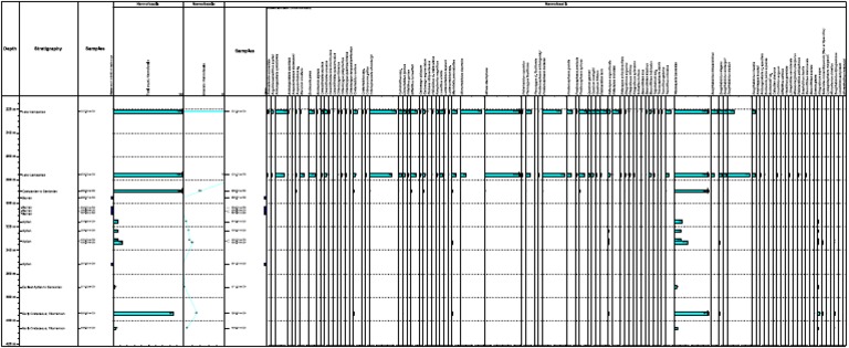 StrataBugs Chart | PDF