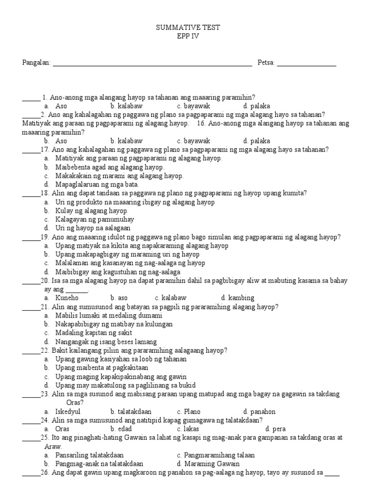 Summative Test | PDF