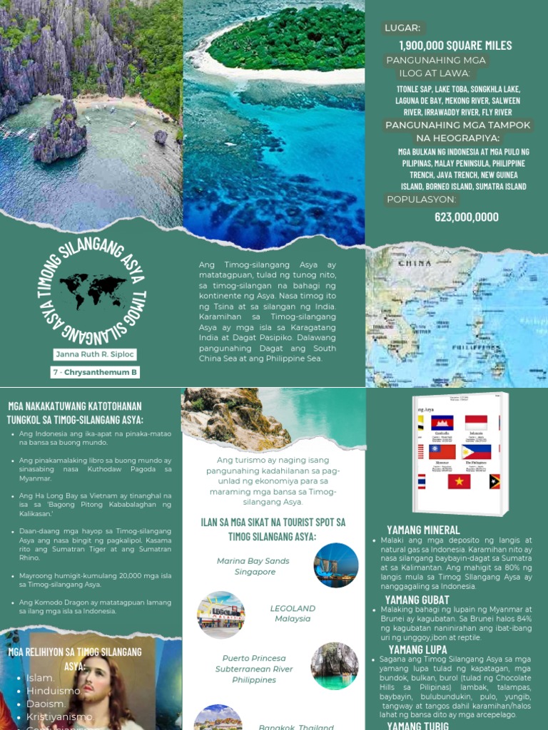 Green White Torn Travel Trifold Brochure | PDF