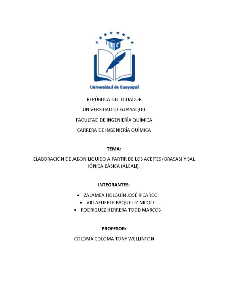 Tarea Carpeta de Proyecto Final | Descargar gratis PDF | Jabón ...