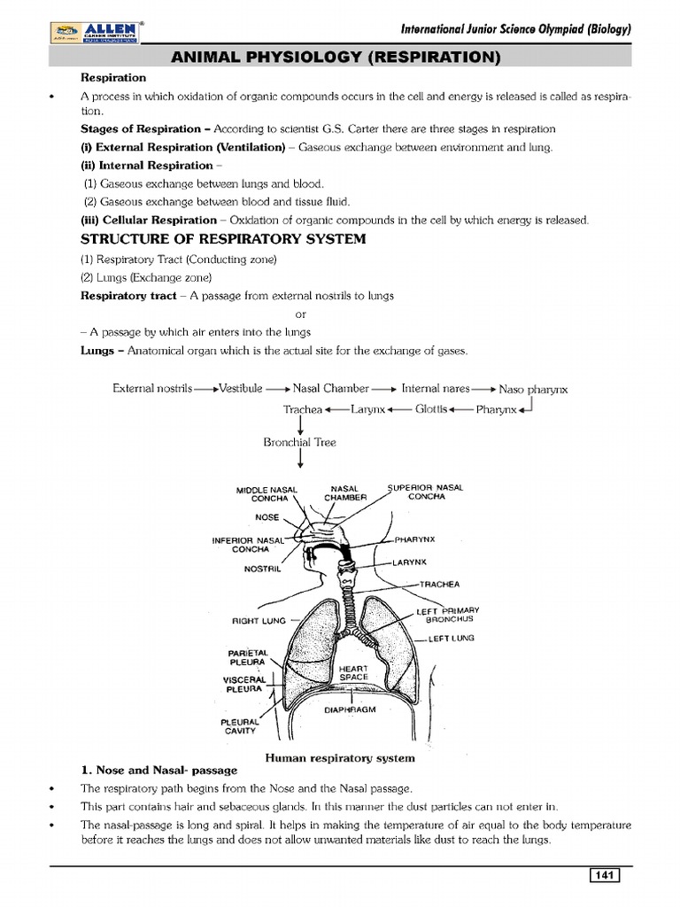 Animal Physiology (Respiration) | PDF
