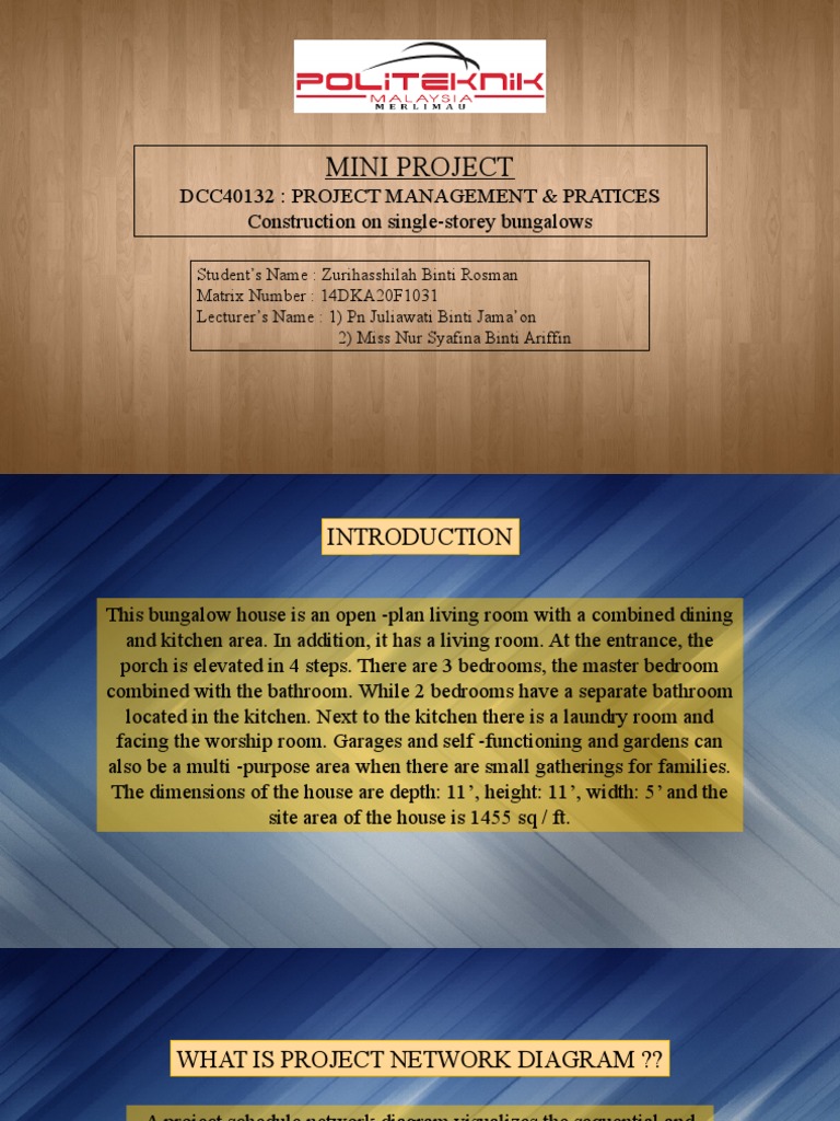 Mini Project Management | PDF