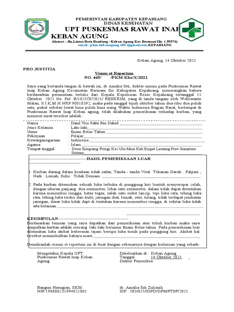Contoh Visum Kekerasan Fisik KDRT | PDF
