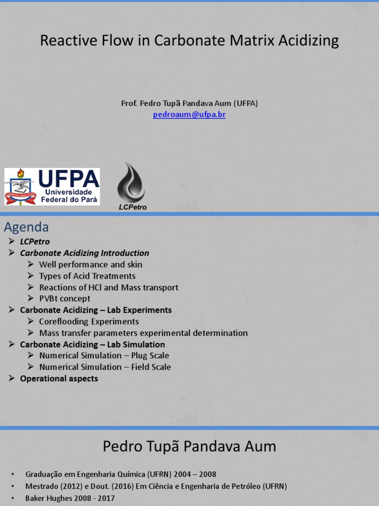 2022 Carbonate Acidizing Reactive Flow Ufrn R1 Pdf Permeability Earth Sciences