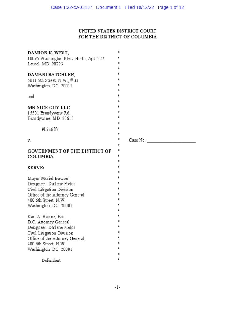 Mr. Nice Guy LLC vs. D.C. Government | PDF