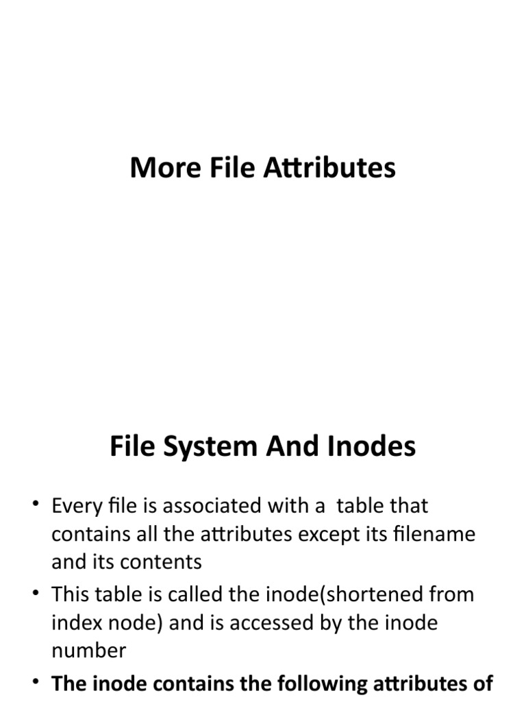 More File Attributes | PDF | Computer File | Computer Programming