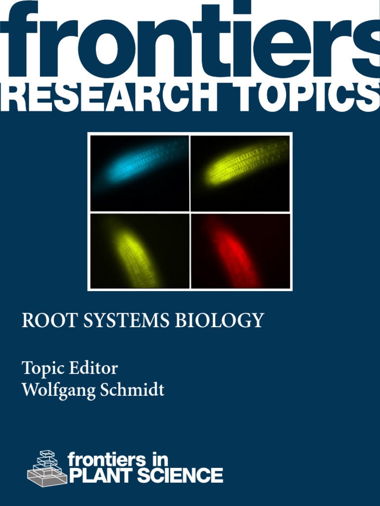 Root Systems Biology | PDF | Science & Mathematics
