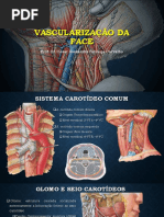 Linhas de Langer na Pele Humana | PDF