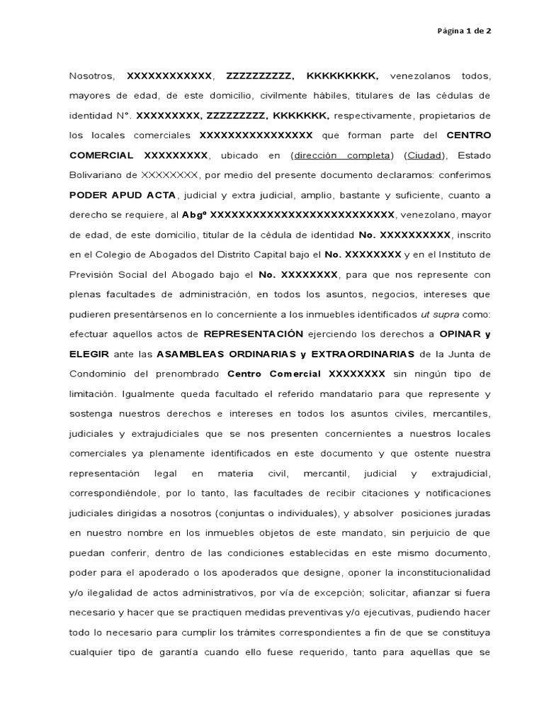 Modelo Poder Apud Acta | PDF | Justicia | Crimen y violencia