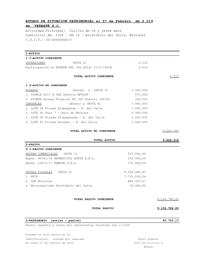 Documento Extra - Estado Valorado de Activo y Pasivo | PDF