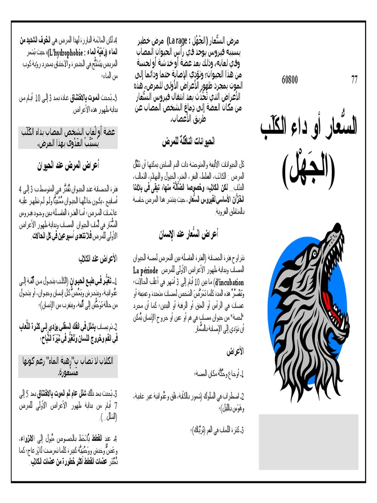 La Rage Version Arabe | PDF