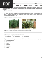 Revisão Ciências P1 e P2 - 2º Bimestre | PDF | Terra | Sol