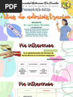 Via Intratecal | PDF | Farmacia | Medicina CLINICA