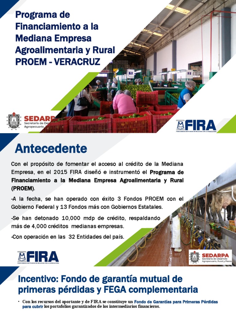 Proem Veracruz 2022 | PDF | Economias