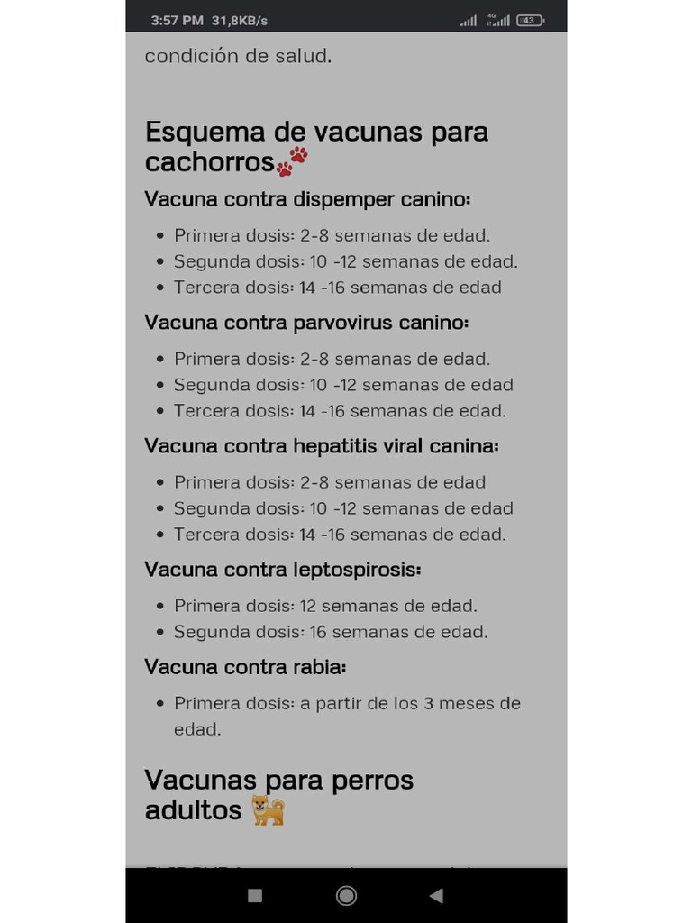 Screenshot Com - Android.chrome | PDF