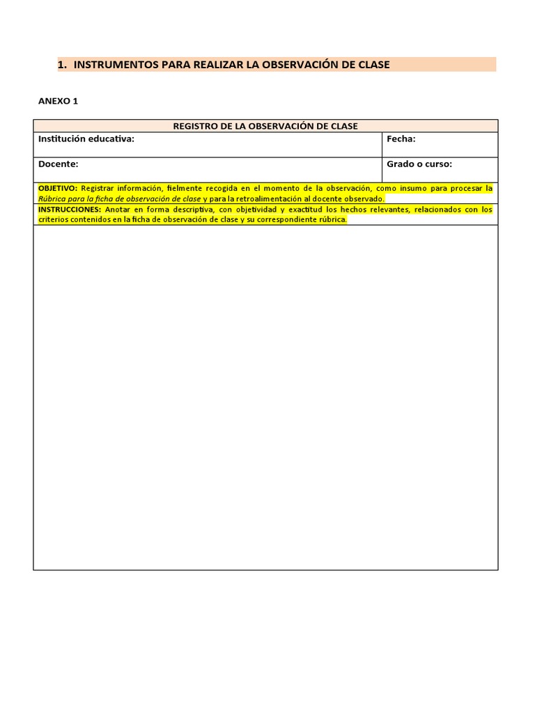 Guía de Observación de Clases | PDF | Evaluación | Maestros