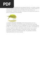 Ácaros del polvo: Dermatophagoides y Euroglyphus | PDF | Alergia