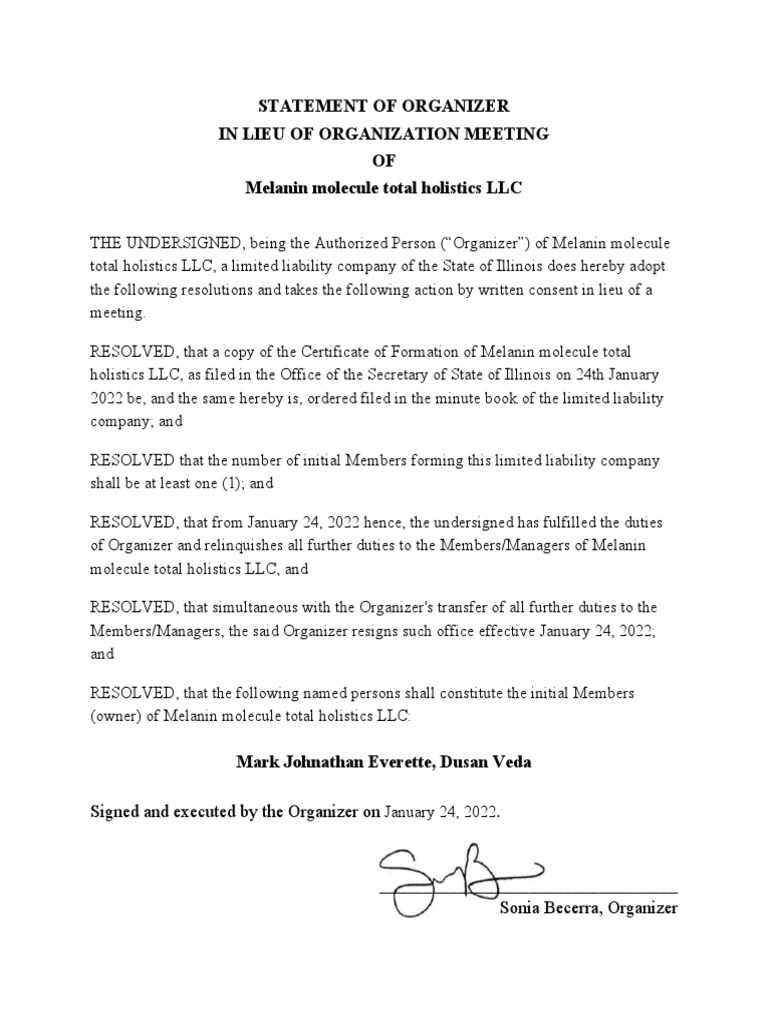 Statement of Organizer | PDF | Business | Finance & Money Management