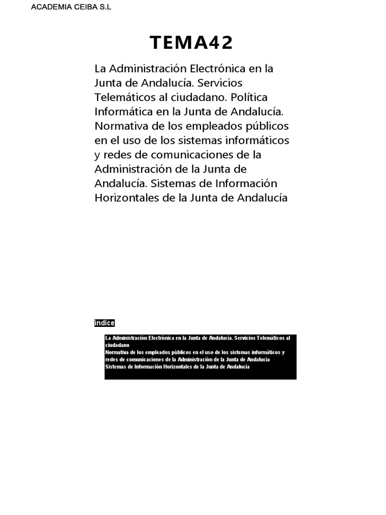 Tema 42 Admi - Junta | PDF | Tecnología de información y comunicaciones | Business