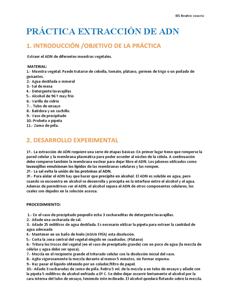 Práctica. Extración de Adn | PDF | Agua | Adn