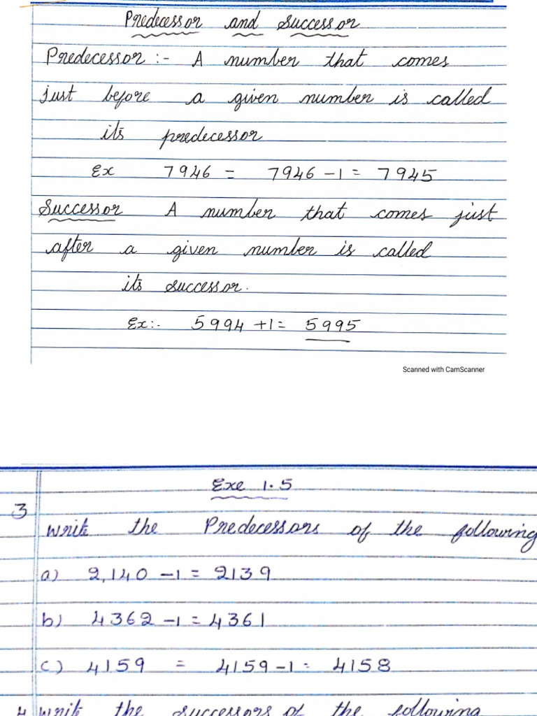 Successor and Predecessor | PDF