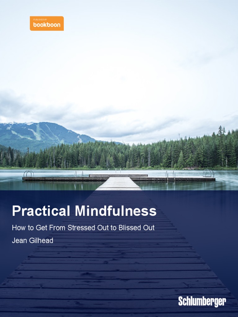 Practical Mindfulness | PDF
