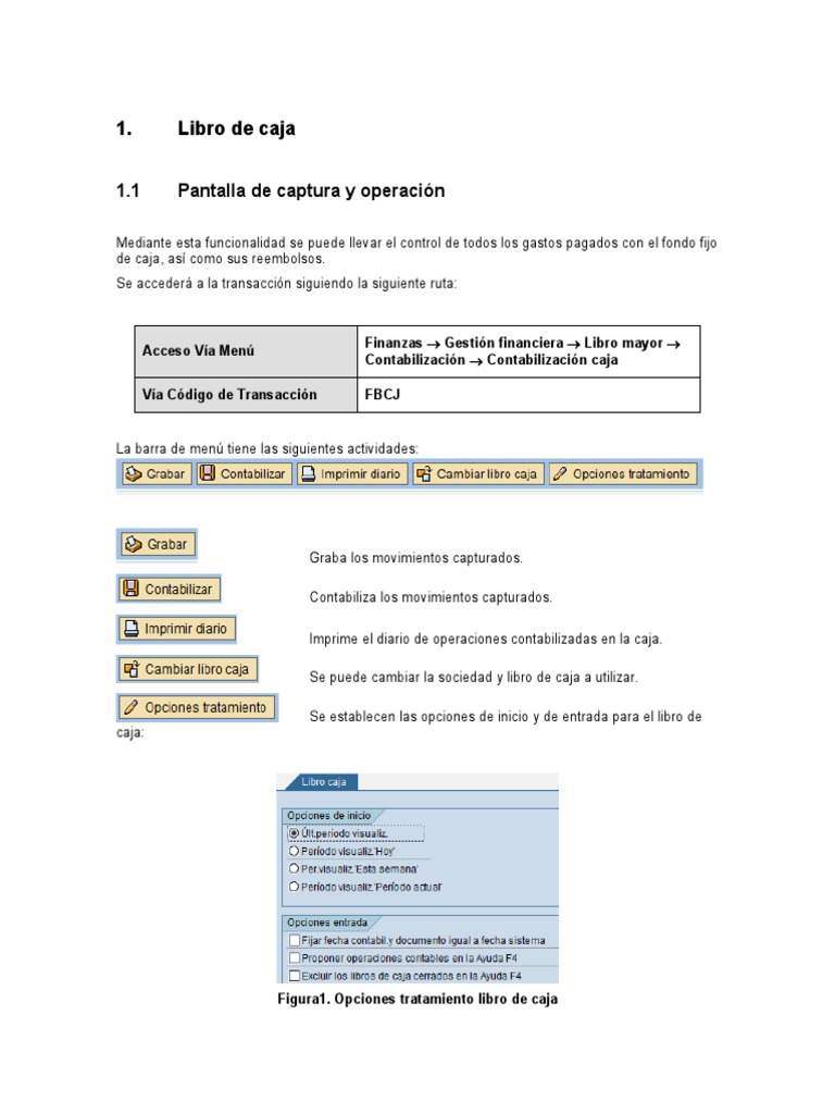 FBCJ-Libro de Caja | PDF | Cheque | Contabilidad