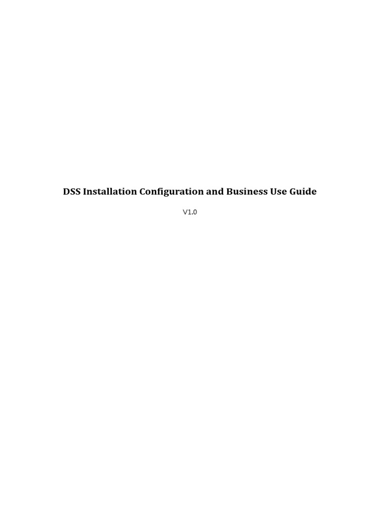 DSS Installation Configuration and Bussiness Use Guide V1.0 | PDF