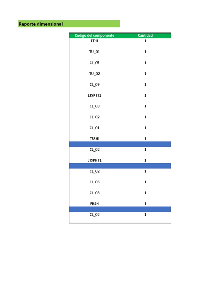Reporte Dimensional | PDF