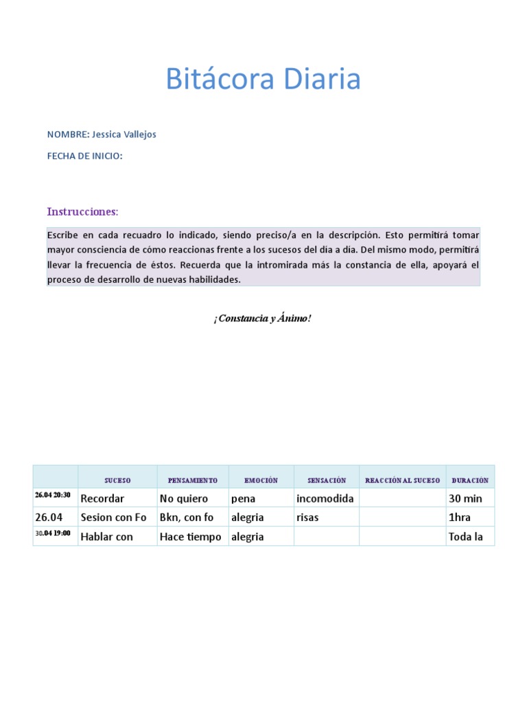 Bitácora Diaria | PDF