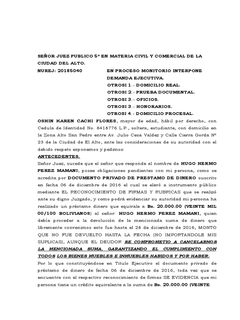 Demanda Ejecutiva Civil Bolivia | PDF | Demanda judicial | Justicia