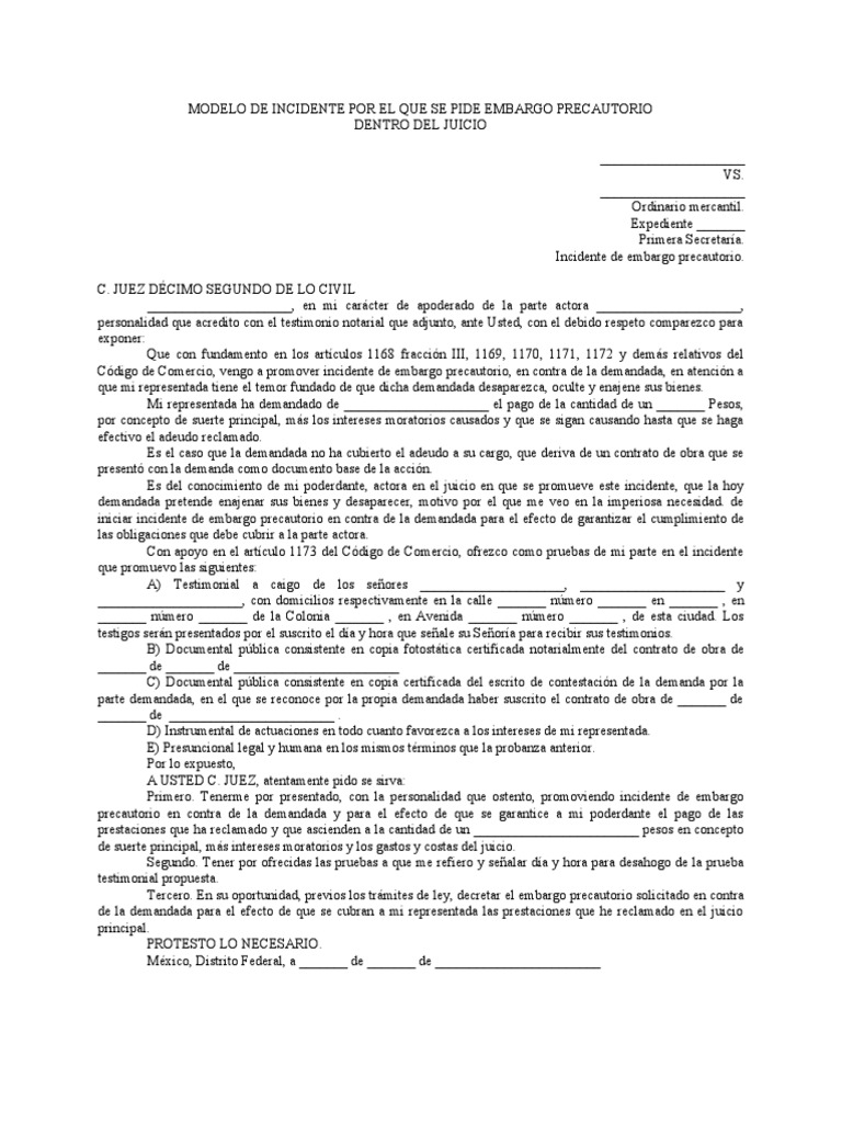 Modelo de Incidente Por El Que Se Pide Embargo Precautorio | PDF ...