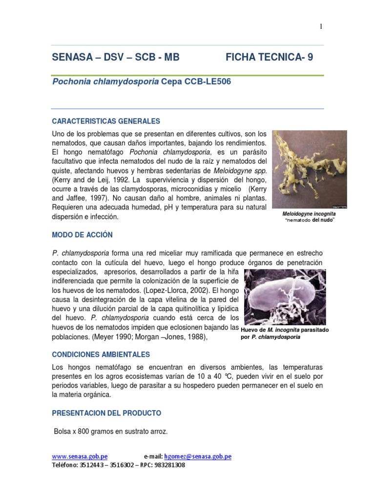 Ficha Técnica de Pochonia chlamydosporia | PDF | Agua | Suelo